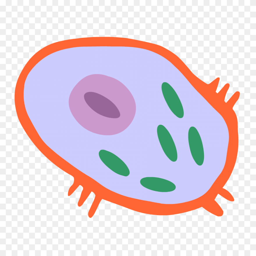 14 Cells View Cell Structures Brainpop PNG Clip Art Images