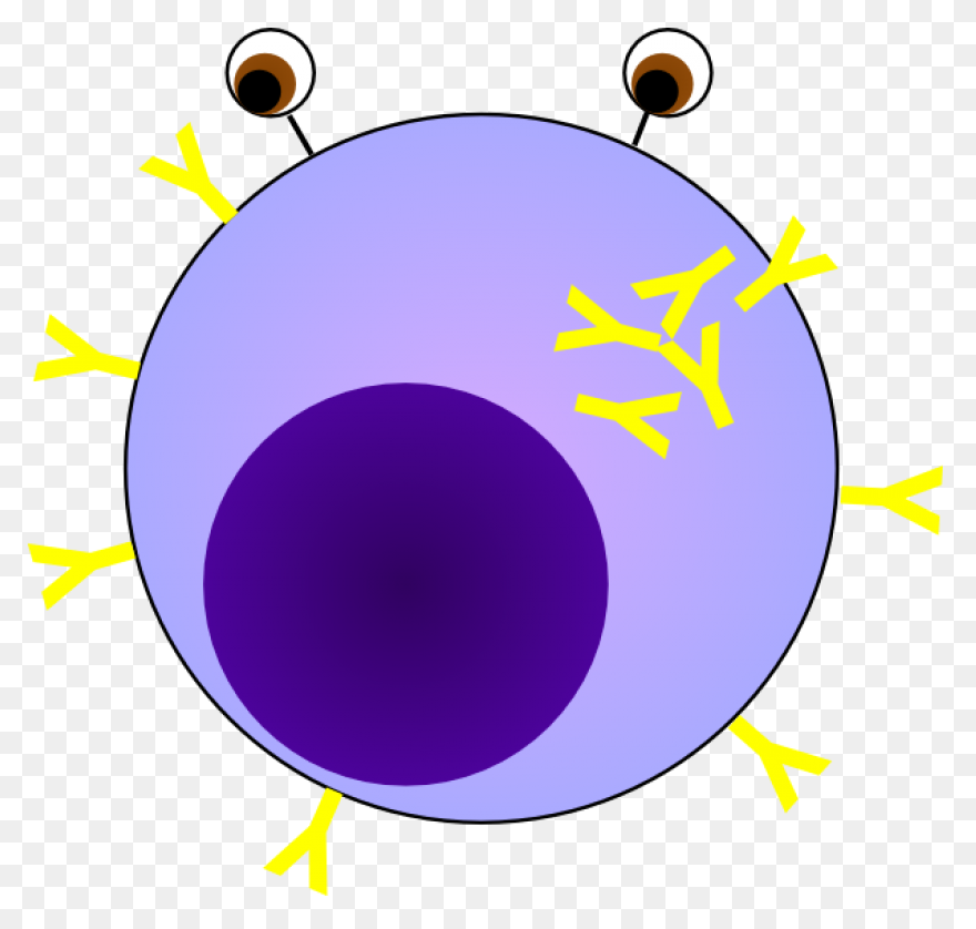 14 Cells View Cell Structures Brainpop PNG Clip Art Images 14-cells-view-cell-structures-brainpop-png-clip-art-images