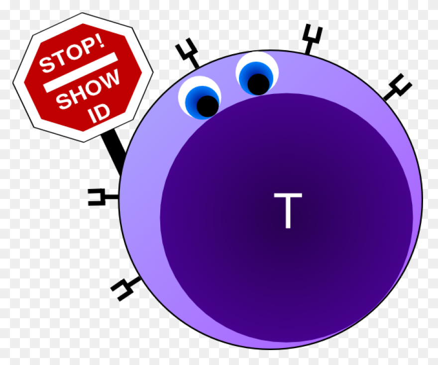 14 Cells View Cell Structures Brainpop PNG Clip Art Images 14-cells-view-cell-structures-brainpop-png-clip-art-images