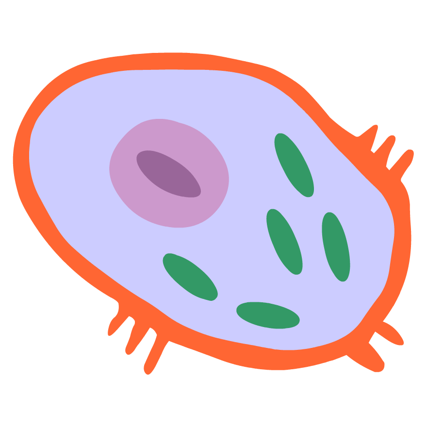 14 Cells View Cell Structures Brainpop PNG Clip Art Images 14-cells-view-cell-structures-brainpop-png-clip-art-images